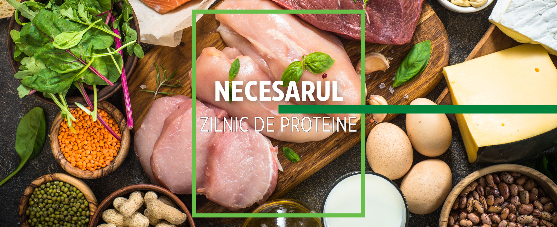 Care este necesarul zilnic de proteine – Calculator și ghid pentru masă musculară și sănătate